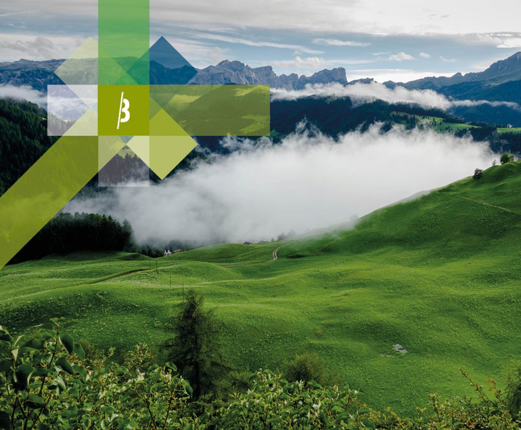 Home - Ben Bernard - Bags for Life